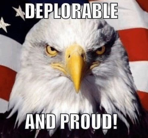 Proud to be a deplorable – Bracing Views